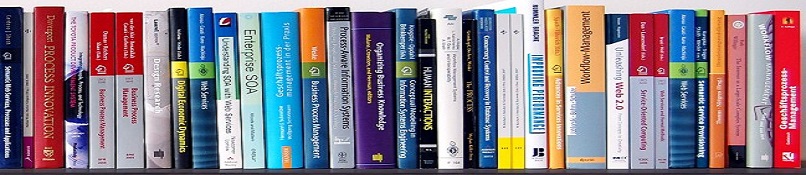 Academic background – EDUARDA FERREIRA